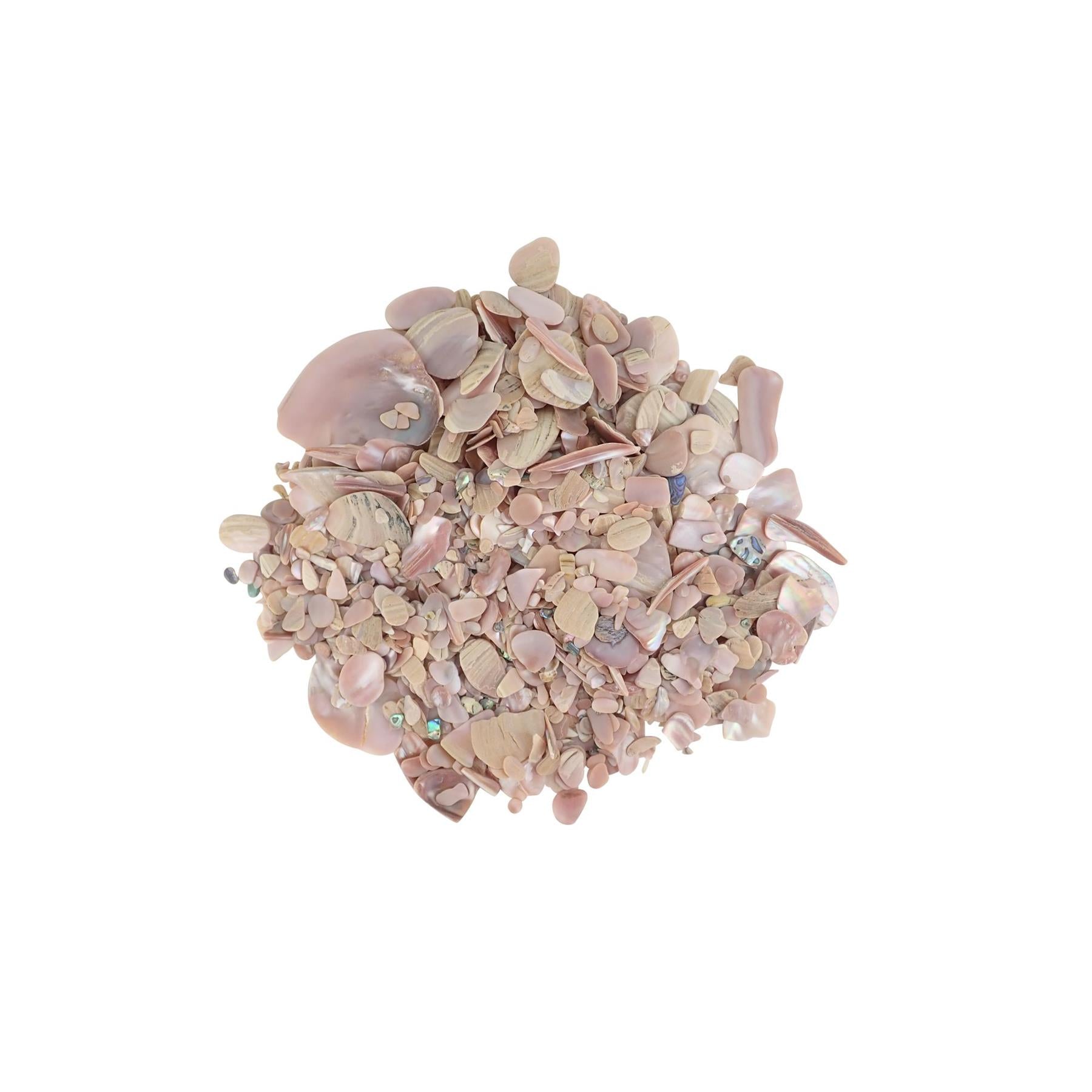 Pink Mussel Shell Pieces - Mixed, 1Kg – Rothko and Frost