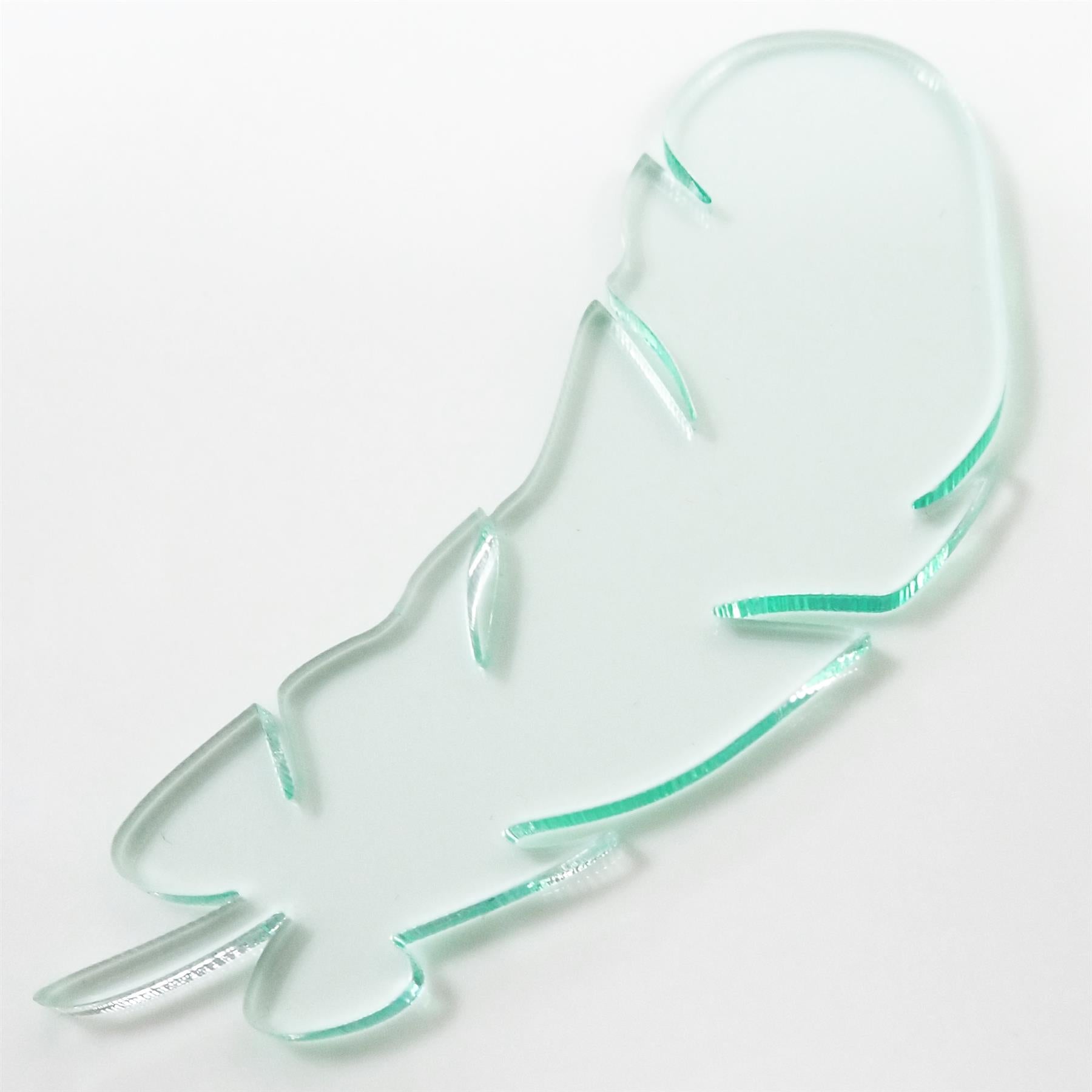 Glass Look Cast Acrylic Feather Decorations, 100mm (Style 2) (Pack of ...
